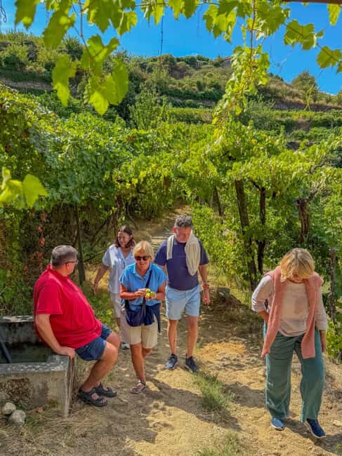 Douro Valley: Olive Oil & Wine Tour with Boat & Lunch - Why This Tour Offers Excellent Value