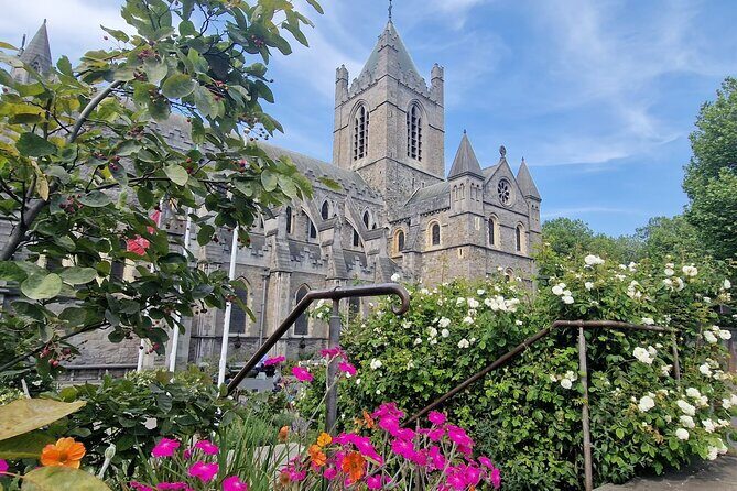 Dublin Private Walking Tour - Exploring Dublin’s Historic Core: Banks, Trinity, and More