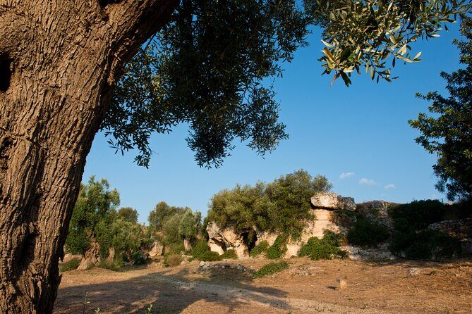 E-bike Tour Discovering Fasano - Who Should Consider This Tour?