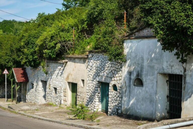 Eger, home to Bull's Bood, a private tour with winetaste - Additional Stops and Optional Experiences