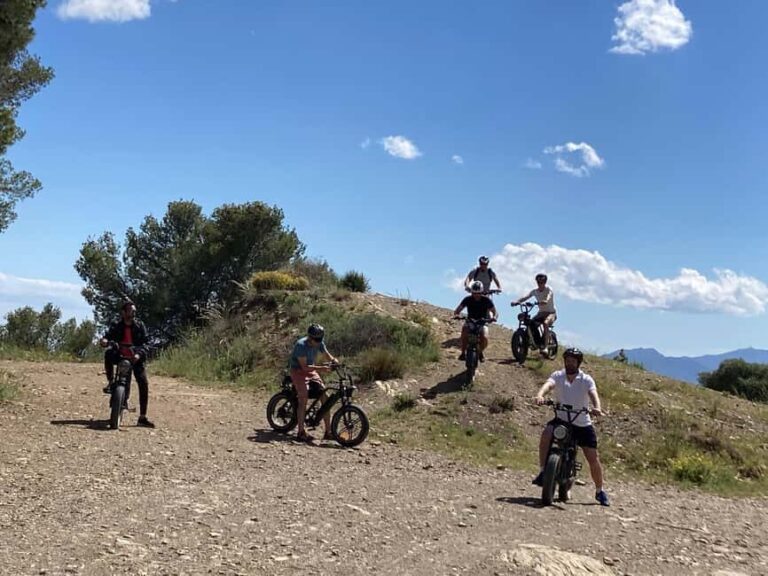 Electric FAT Biking in Montes de Malaga & Countryside - The Sum Up