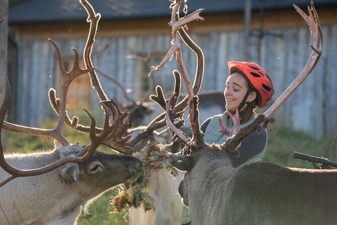 Electric Fatbike Trip to the Reindeer Farm - Scenic Ride Back to Rovaniemi