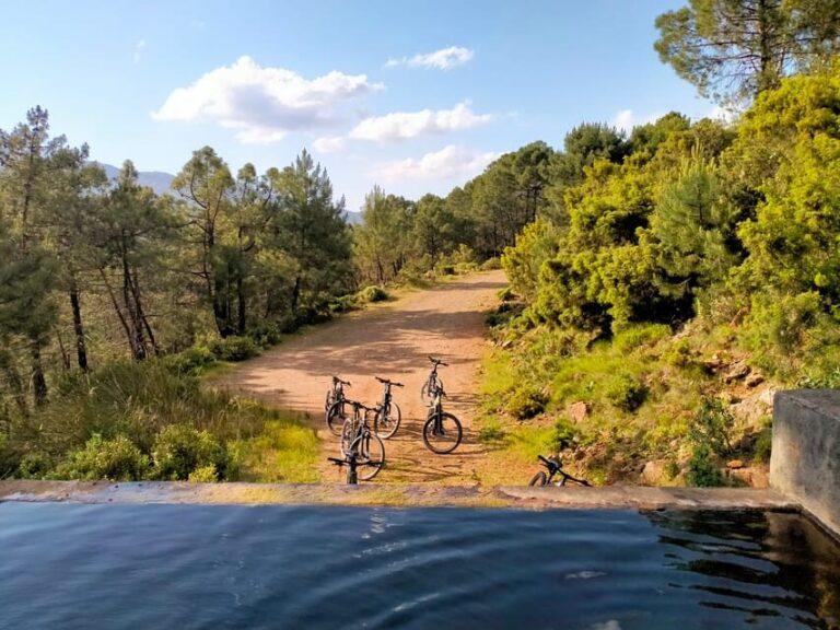 Electric mountain bike in Sierra de las Nieves national park - The Route: Discovering Nature and Biodiversity