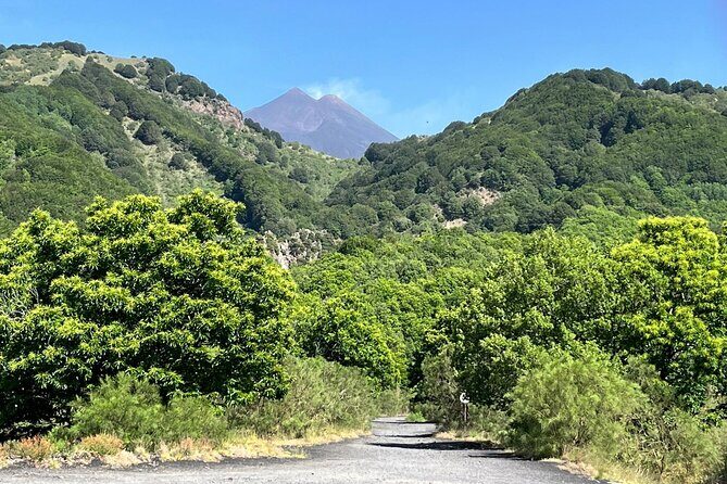 ETNA and TAORMINA departing from PALERMO, Private Tour - Practical Details and Flexibility