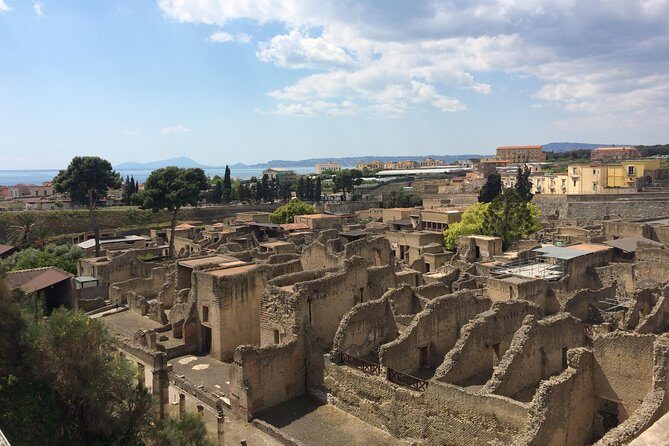 Excellence Private Herculaneum Guided Tour with an Archeologist - What You Need to Know About the Price and Duration