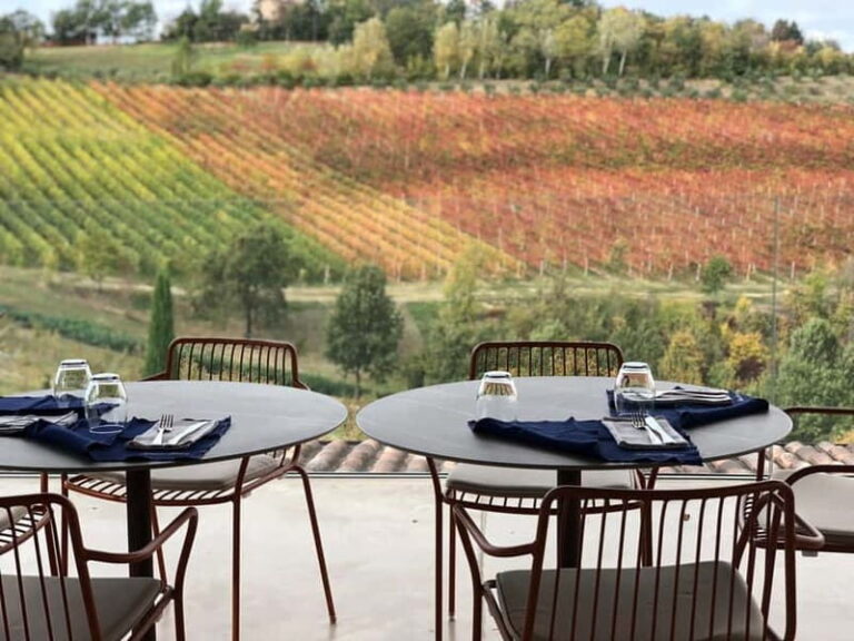 Exclusive Ferrari and Pagani Tour from Florence - The culinary side: a taste of Emilia-Romagna