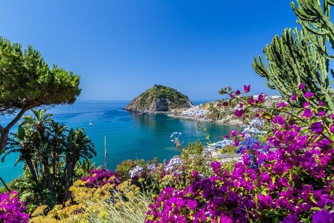 Exclusive Ischia & Procida Luxury Private Boat Cruise - Authentic Testimonials