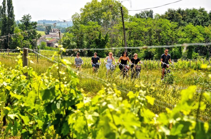 Explore Saint-Émilion on e-Bikes: Small Group, half-Day Tour - Value and Practicality