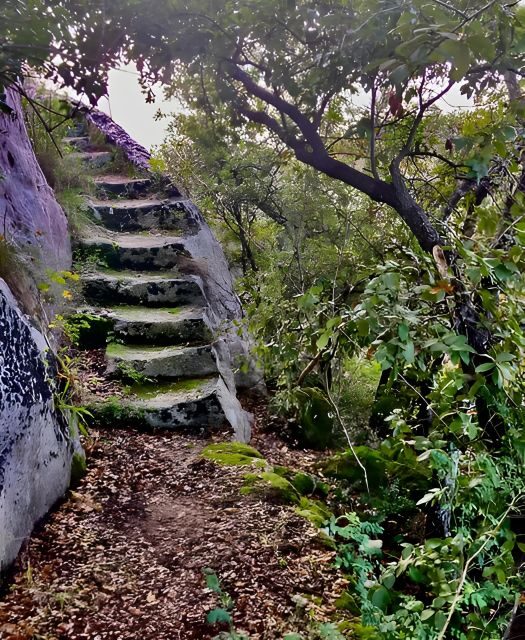 Explore the Murgia Materana UNESCO Park (Italiano & Espanol) - Discovering the Murgia Materana UNESCO Park: A Deep Dive