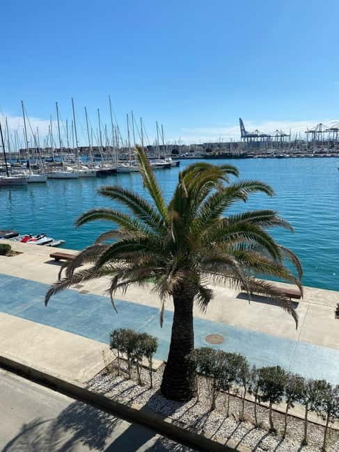 Explore Valencias Coast: Boat trip to Valencian Venice - The Value of the Experience
