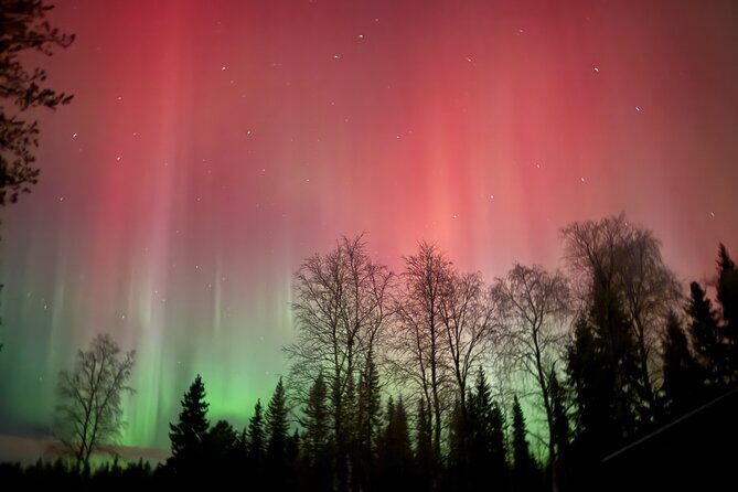 Family Friendly Northern Lights Tour in Rovaniemi - Who Might Want to Skip It?