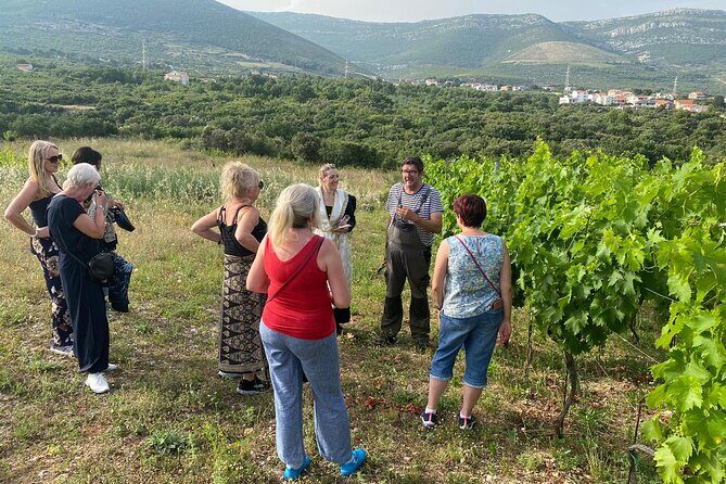 Family-run Vineyard Tour & Award Winning Wine Tasting/Delicacies - A Deep Dive into the Experience