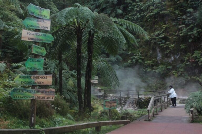 Fire Lake & Tea Factory & Pinneaple - An In-Depth Look at the Tour