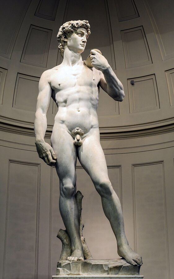 Michelangelo's David at the Galleria dell'Accademia in Florence