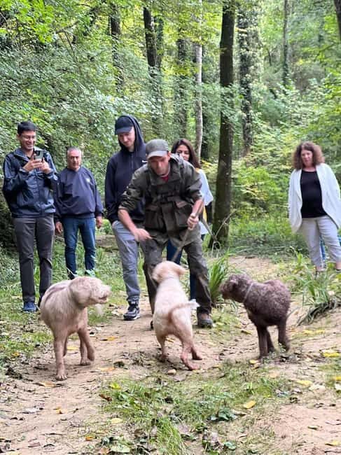 Florence: Truffle Hunt, San Gimignano, and Chianti Day Trip - Practical Details and Considerations