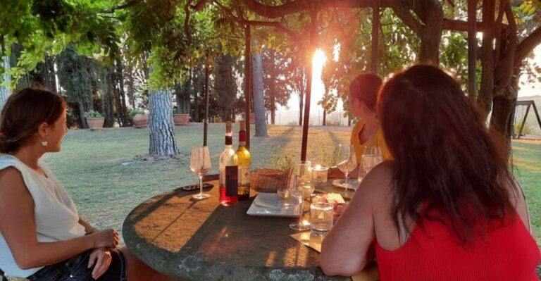 Florence Wine Tour with Traditional Lunch, Private Winery - A Scenic Drive into Tuscany’s Heart