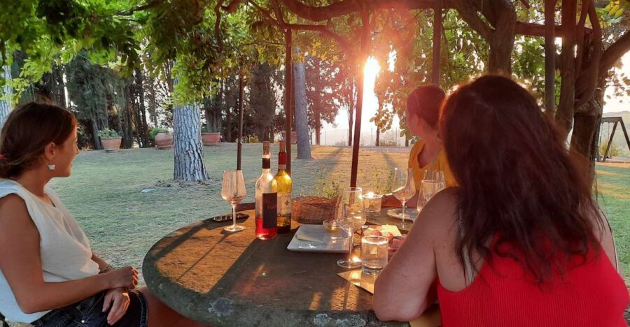 Florence Wine Tour with Traditional Lunch, Private Winery - A Scenic Drive into Tuscany’s Heart