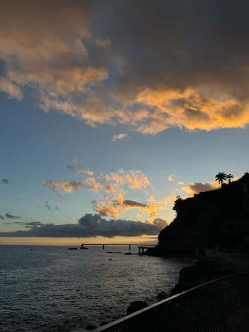 Flowers Of The Forest, Câmara de Lobos 4x4 Jeep Tour - Why This Tour Offers Great Value