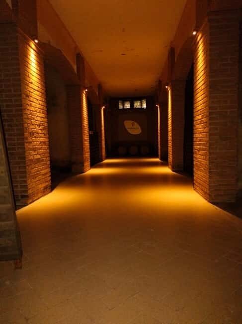 Franciacorta: visit the vineyard, cellar, and enjoy an Edea To tasting - Who Would Enjoy This Tour?