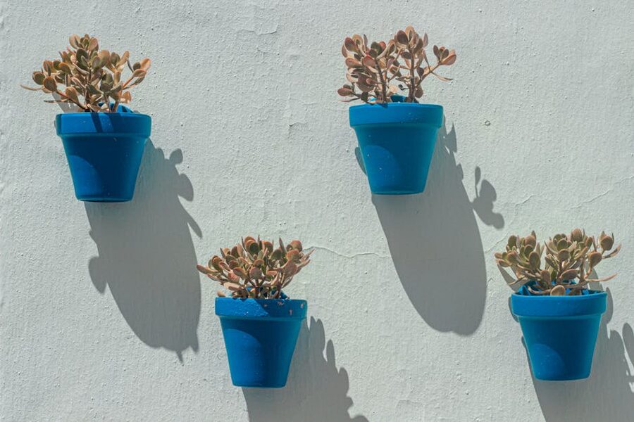 Blue plant pots on a whitewashed wall in Frigiliana