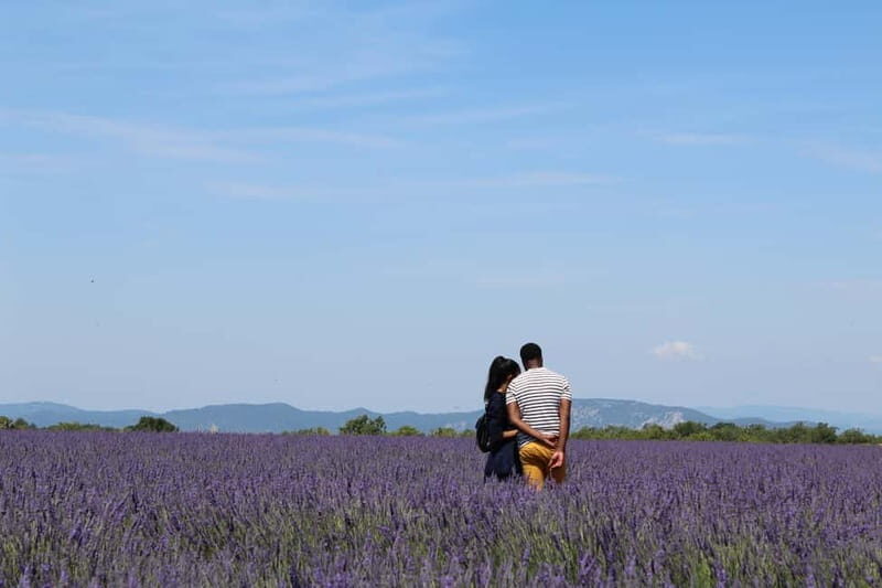 From Aix-en-Provence : Sunset Lavender Tour in Valensole - Why This Tour Offers Great Value