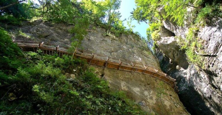 From Bled: Half-Day Pokljuka Gorge Trail Hike (Private) - An In-Depth Look at the Pokljuka Gorge Trail Hike