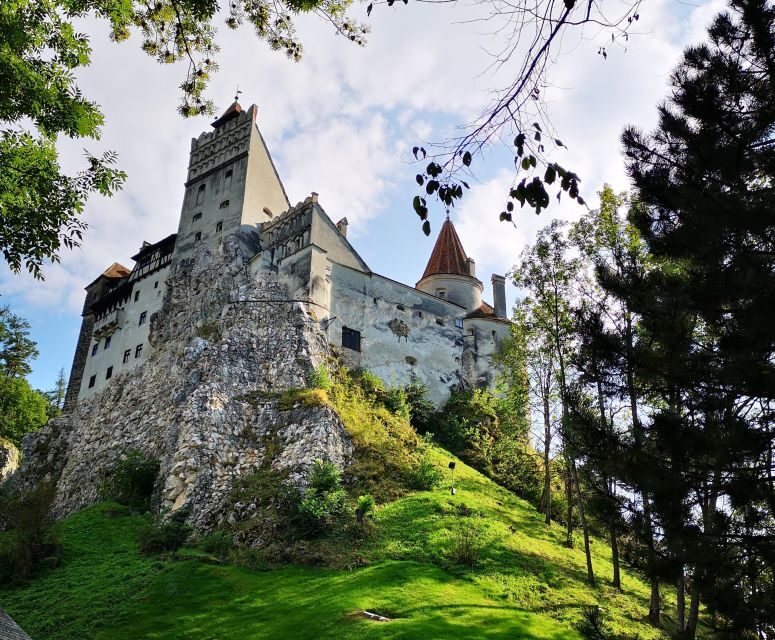 From Bucharest: Full-Day Private Dracula Tour - Who is This Tour Best Suited For?