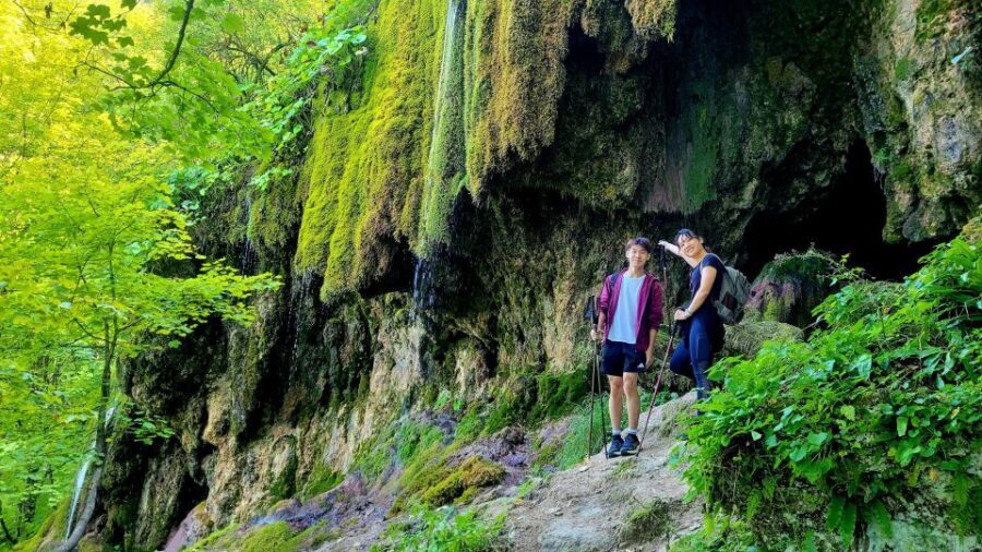 From Cluj-Napoca: Apuseni Mountains Hiking Guided Day Tour - Why This Tour Delivers Great Value