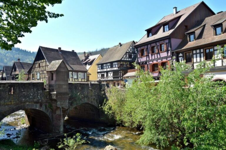 From Colmar: Alsace wine route tour Full Day - Who Is This Tour Perfect For?