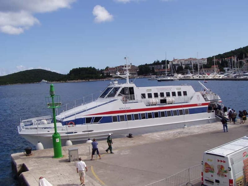 From Dubrovnik: Mljet Island Guided Catamaran Day Tour - Who Should Consider This Tour?