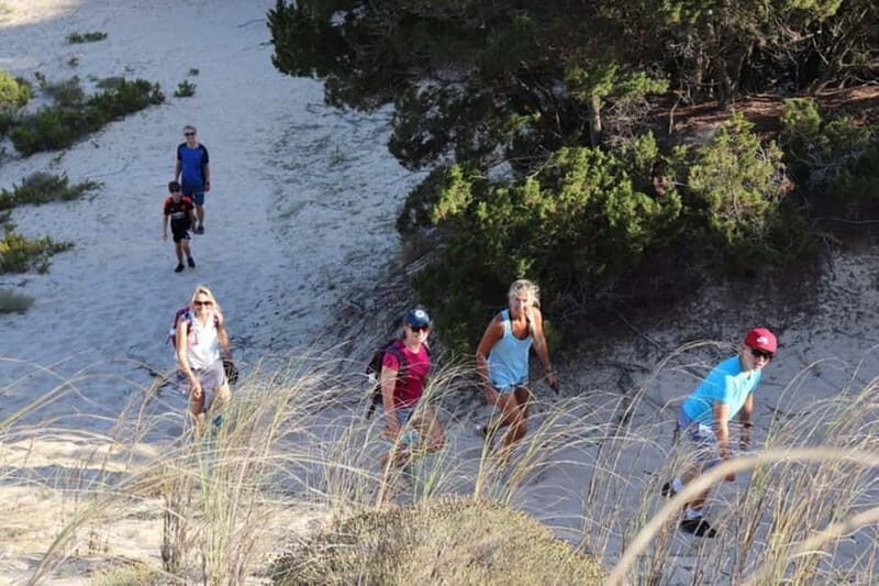 From Kalamata: Day Trip Hike to Gialova Lagoon with Dinner - Exploring the Itinerary: What You Can Expect