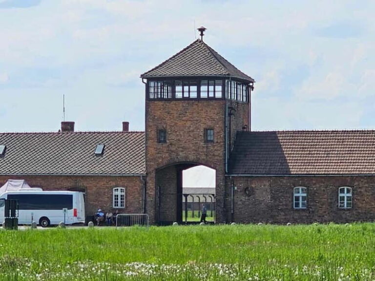 From Krakow: Auschwitz-Birkenau & Wieliczka Salt Mine Tour - Authentic Experiences from Reviews
