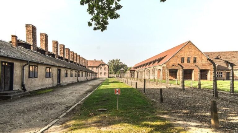 From Krakow: Wieliczka Salt Mine & Auschwitz Guided Trip - A Detailed Breakdown of the Tour