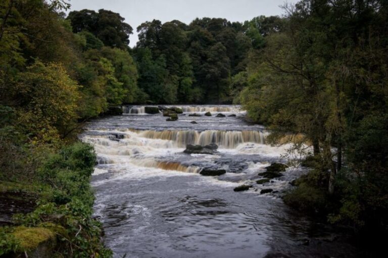 From Lake District: Full-Day Yorkshire Dales Tour - A Deep Dive into the Yorkshire Dales Full-Day Tour