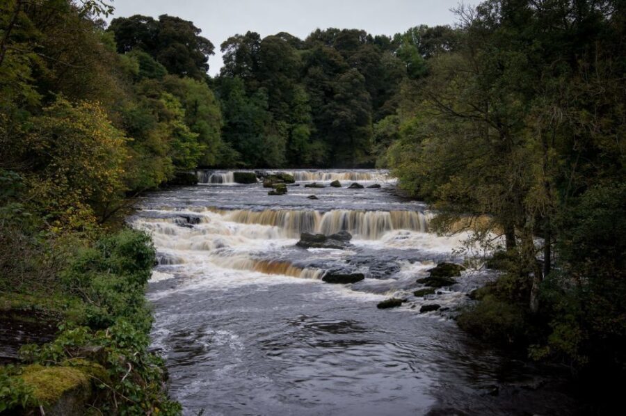 From Lake District: Full-Day Yorkshire Dales Tour - A Deep Dive into the Yorkshire Dales Full-Day Tour