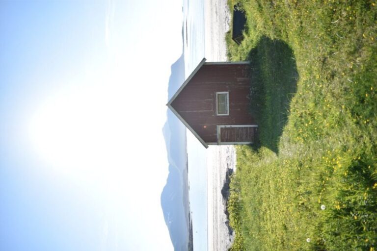 From Leknes City/Port: Private Lofoten Tour with Transfer - Analyzing the Price and Overall Value