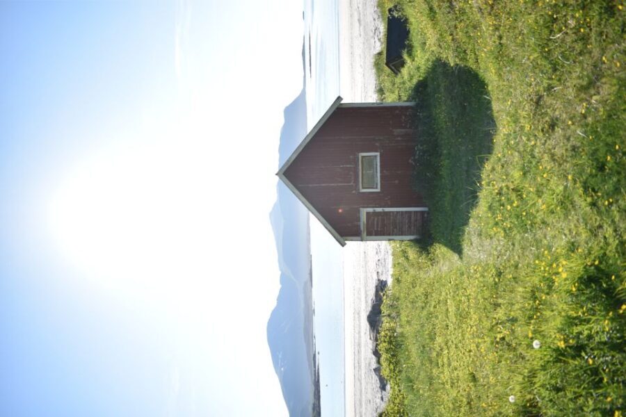From Leknes City/Port: Private Lofoten Tour with Transfer - Analyzing the Price and Overall Value