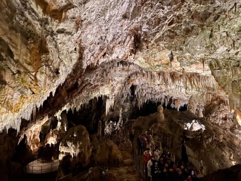 From Ljubljana: Postojna Cave Day Trip - The Value of This Tour