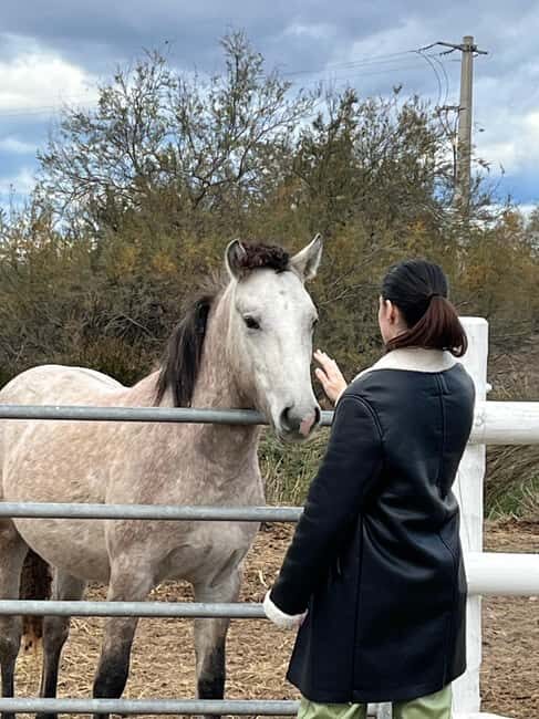 From Montpellier: Visit of Camargue and Aigues-Mortes - The Itinerary and Experience in Detail