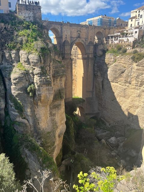 From Nerja/Almunecar: Ronda Day Trip with Hotel Pickup - Who Will Love This Tour?