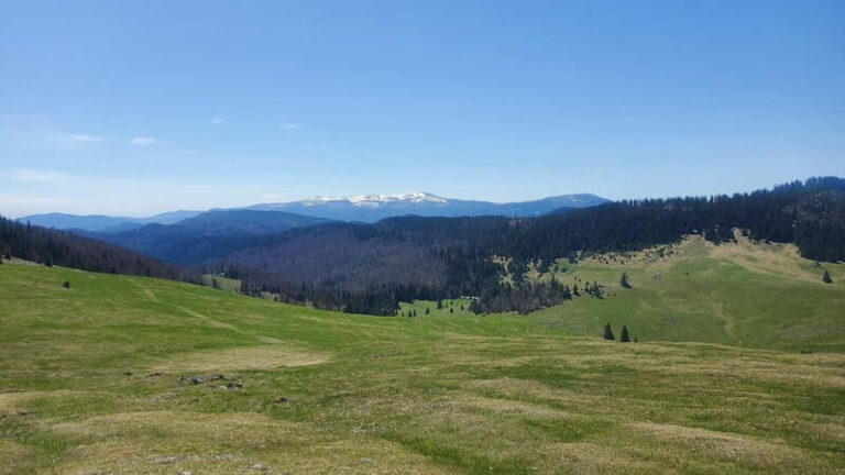 From Oradea: Apuseni Mountains Guided Hiking Tour - The route explained