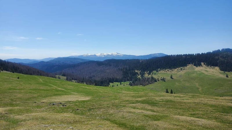 From Oradea: Apuseni Mountains Guided Hiking Tour - The route explained