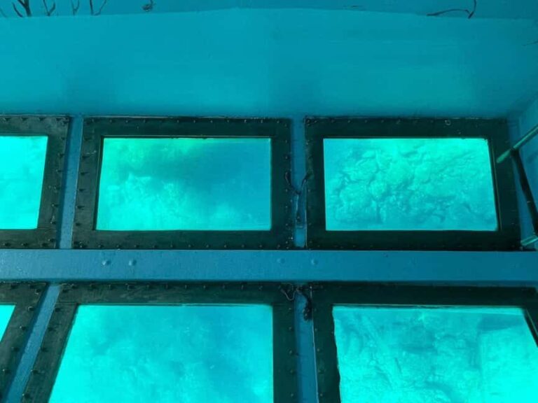 FROM PAPHOS: 1.5 HRS Glass Bottom Boat Cruise with swimming - Who Will Love This Tour?