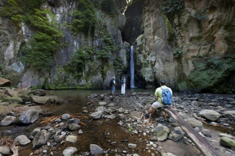 From Ponta Delgada: Guided Walking Tour to Salto do Cabrito - What to Expect and Practical Tips