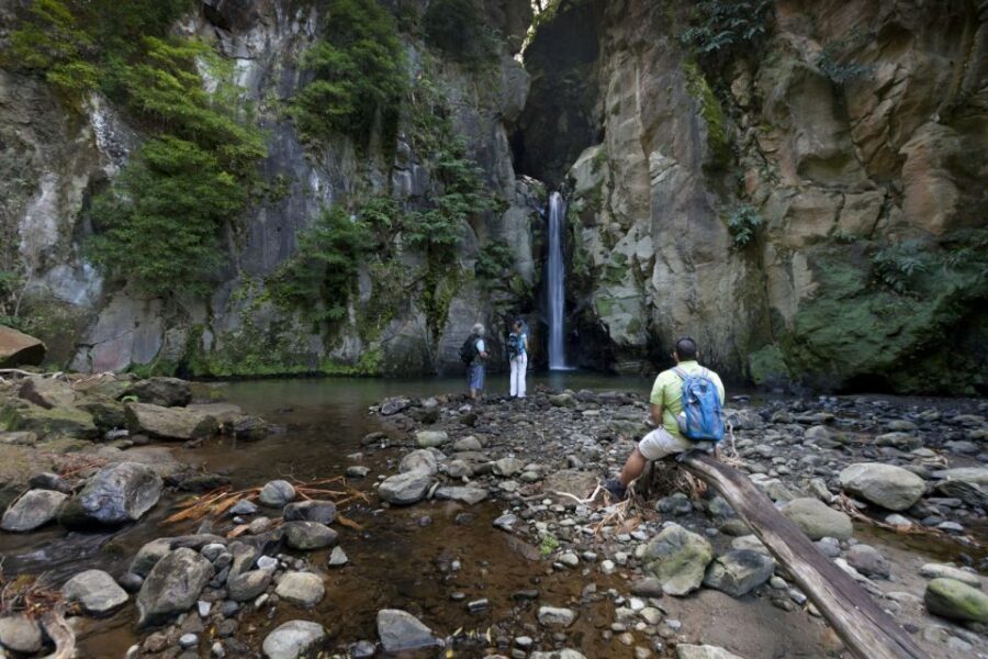 From Ponta Delgada: Guided Walking Tour to Salto do Cabrito - What to Expect and Practical Tips