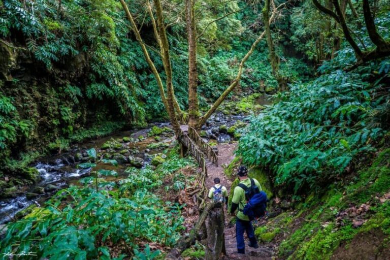 From Ponta Delgada: Hiking Moinho do Félix - What to Expect on the Day