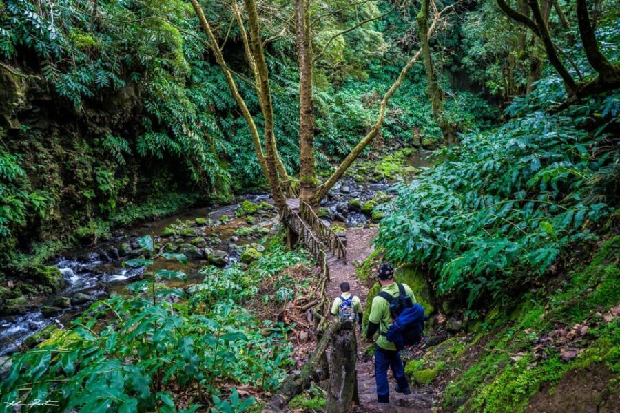 From Ponta Delgada: Hiking Moinho do Félix - What to Expect on the Day