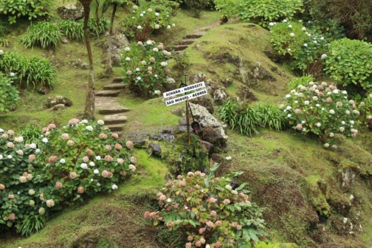 From Ponta Delgada: Nordeste 4x4 Guided Day Trip & Lunch - Who Will Love This Tour?