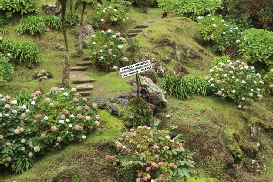 From Ponta Delgada: Nordeste 4x4 Guided Day Trip & Lunch - Who Will Love This Tour?