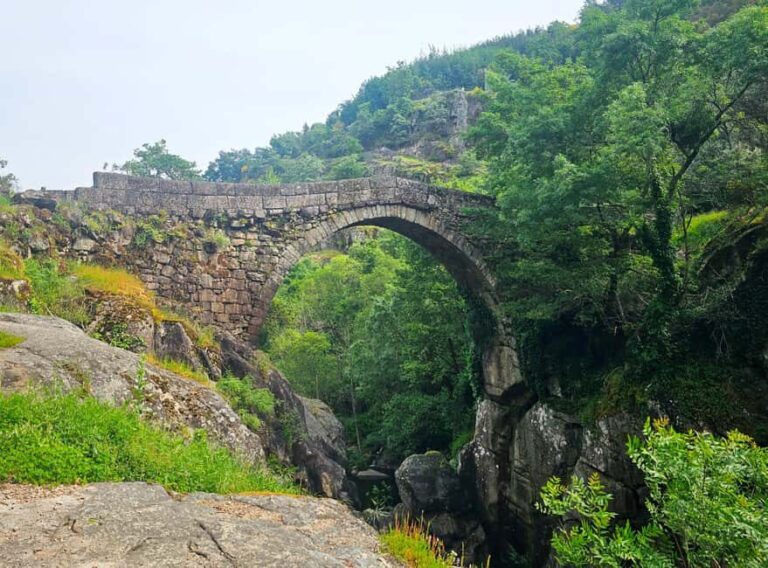 From Porto to Peneda-Gerês National Park - Who Is This Tour Best Suited For?